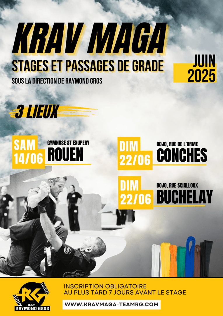 Stages et passages de grade juin 2025 - Krav Maga Team RG